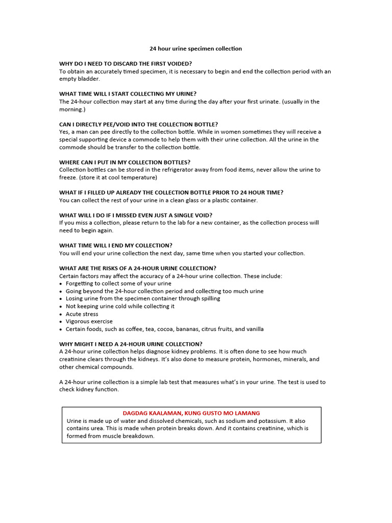 24 Hour Urine Specimen Collection | PDF | Urination | Urine
