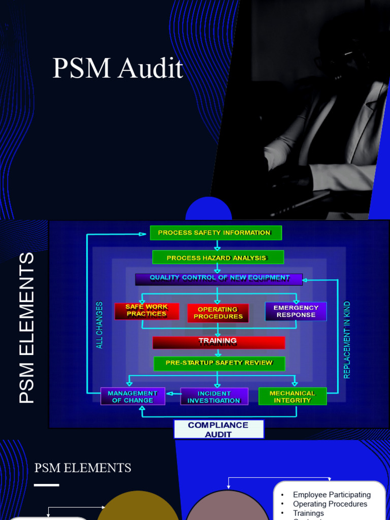 Audit PSM | PDF