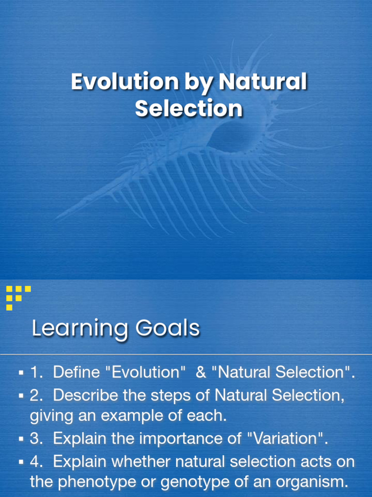 Evolution and Natural Selection Notes | PDF | Natural Selection | Evolution
