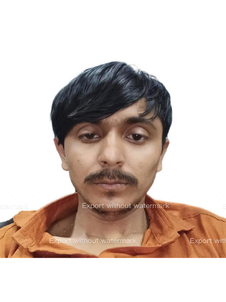 Indian Visa ID Photo | PDF