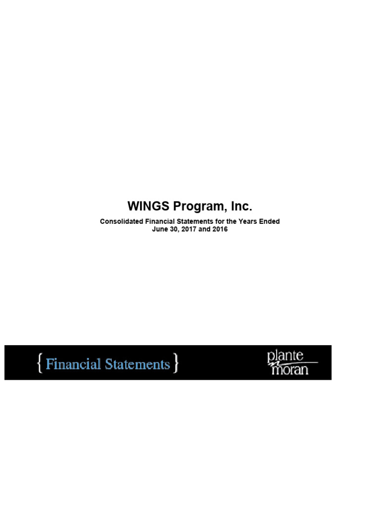 WINGS Program Inc. Financial Statements 2016-2017 | PDF | Audit ...