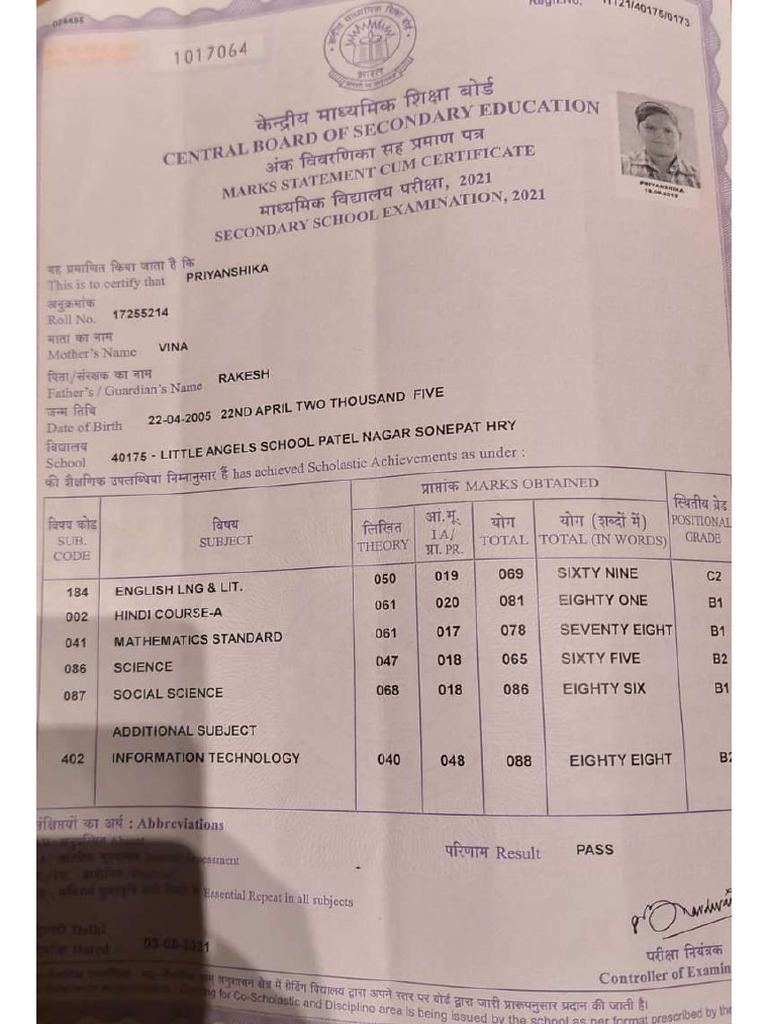 Common Documents | PDF