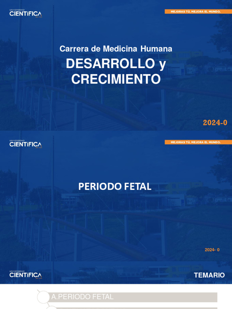 Sesion 5 Periodo Fetal Jaz 2024-0 | PDF | Feto | Anatomía
