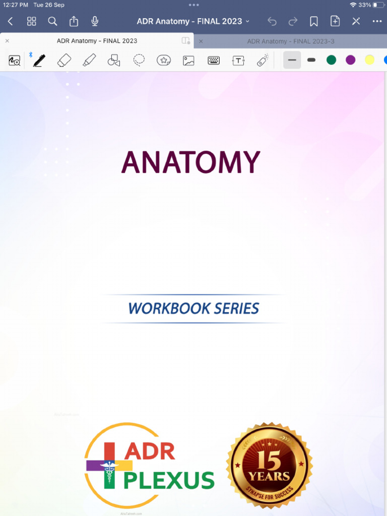 Anatomy Workbook 2023 Atf | PDF | Spinal Cord | Human Anatomy