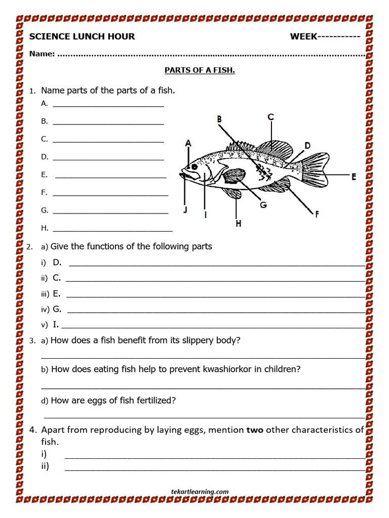 Fish | PDF