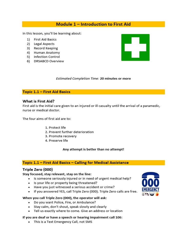 First Aid | PDF | Heart | Respiratory Tract