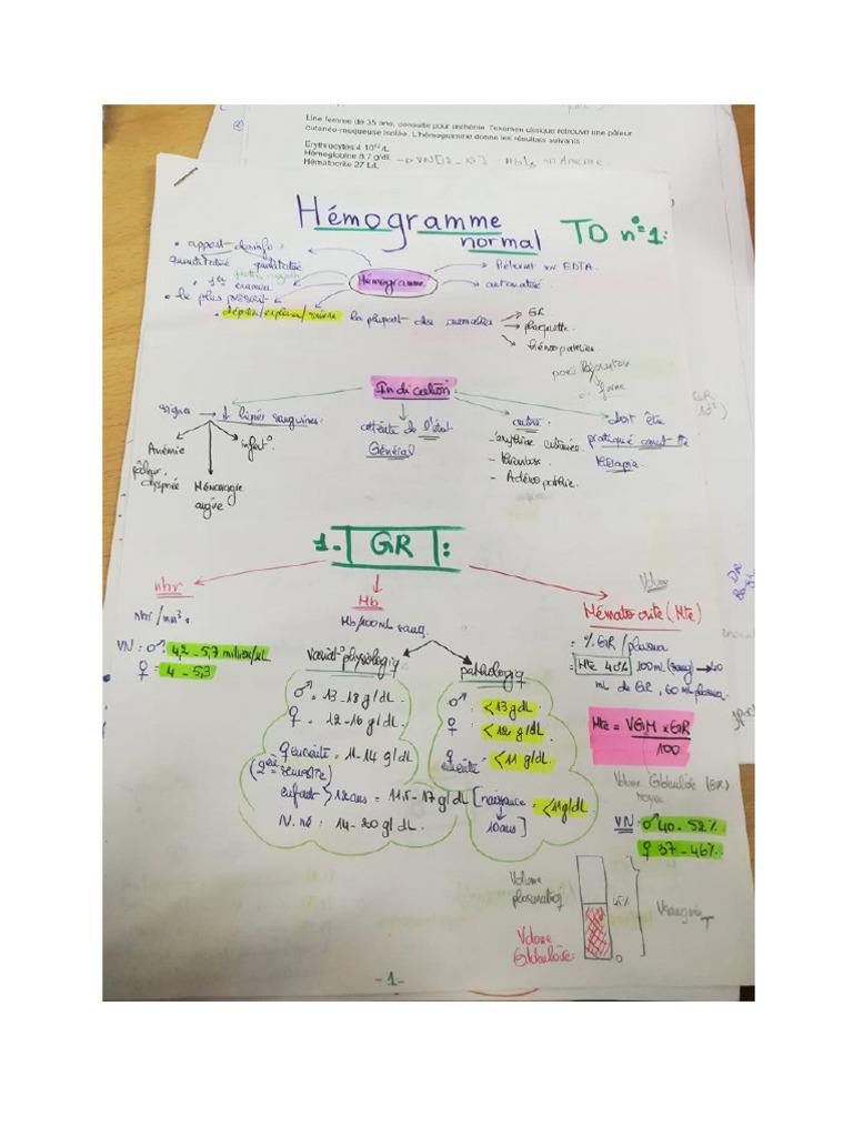 L'hemogramme | PDF