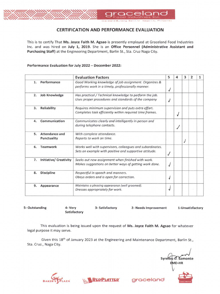 Performance Rating On Work - Sample | PDF