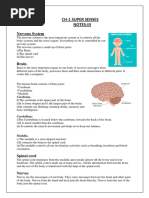 Cranial Nerves With Focus On Swallowing and Voice | PDF | Larynx | Tongue