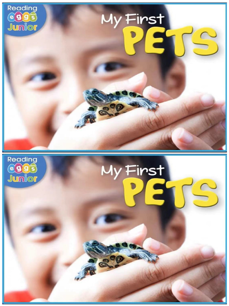 My First Pets | PDF