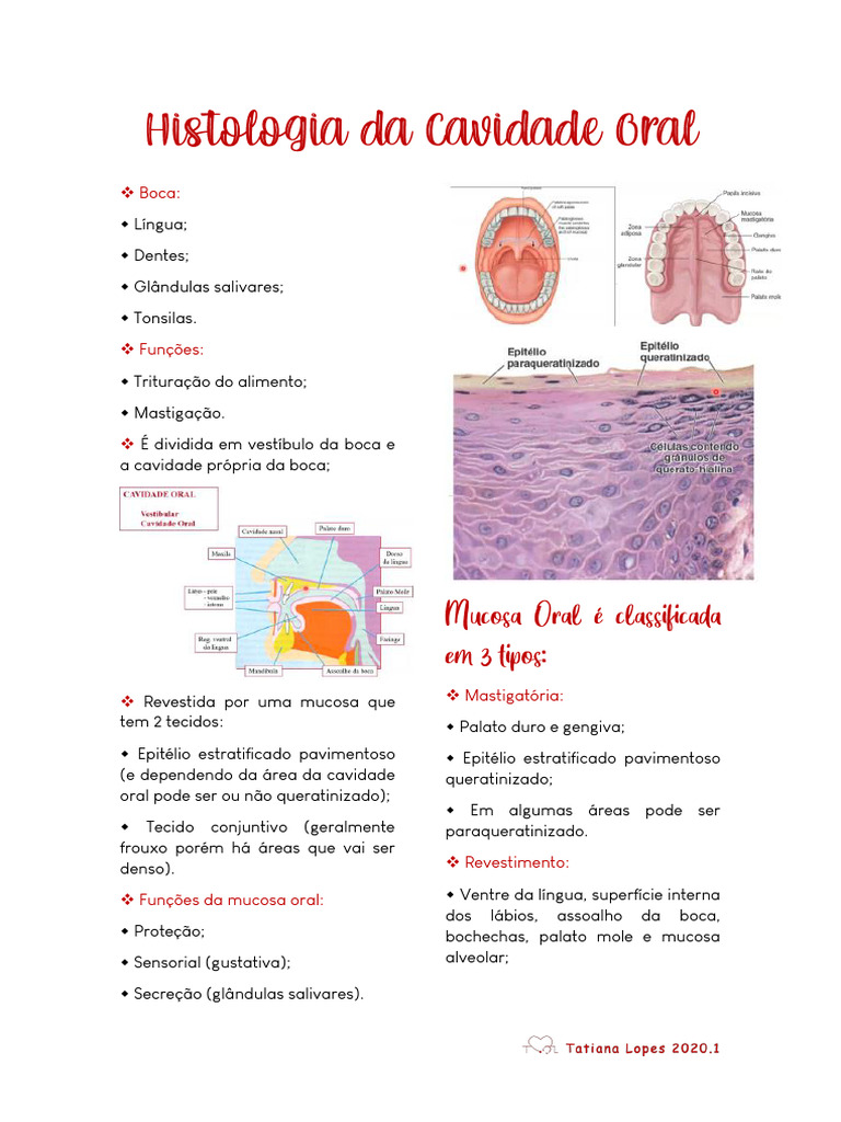 Histologia Da Cavidade Oral | PDF | Boca | Língua