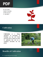 Proper Ways of Cultivation | PDF