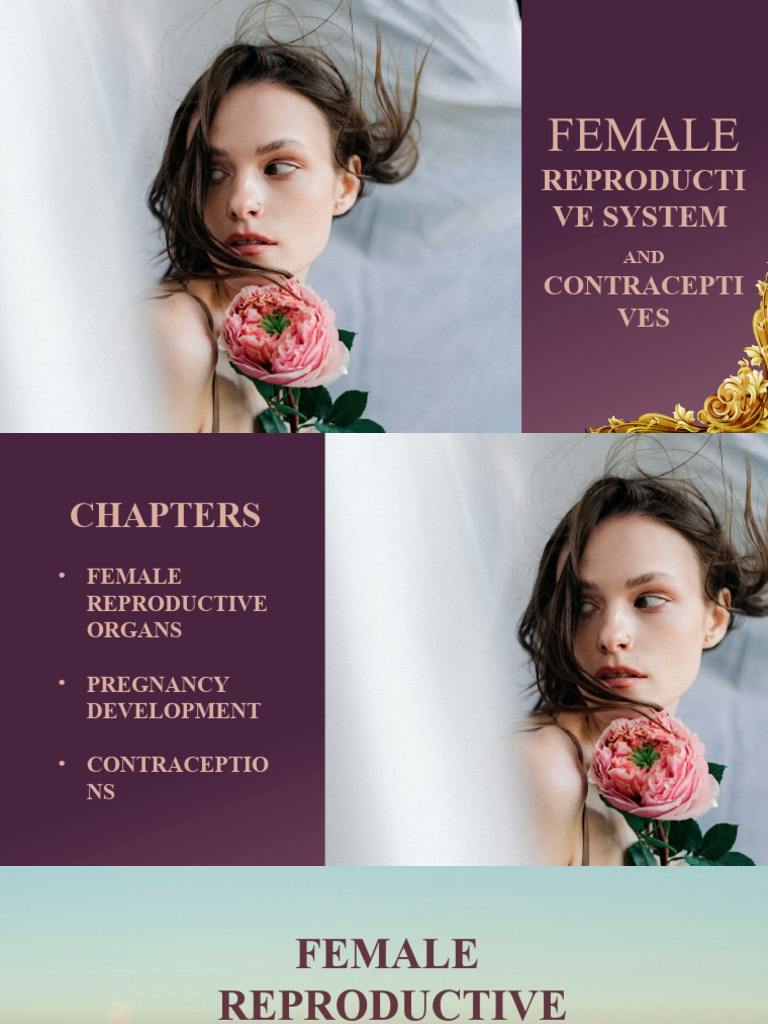 Biology Female-Rep Reporting | PDF | Uterus | Menstrual Cycle