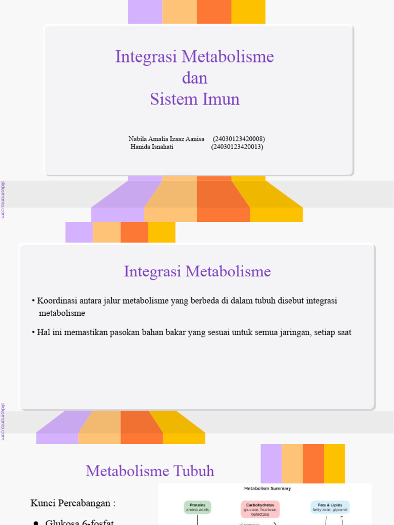 Integrasi Metabolisme Dan Sistem Imun - Nabila - Hanida | PDF