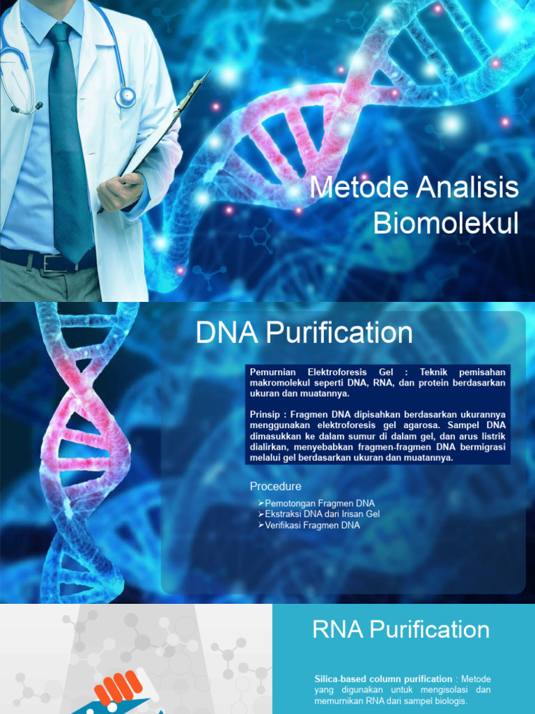 Biomolekul 17 Slide | PDF | Sains & Matematika