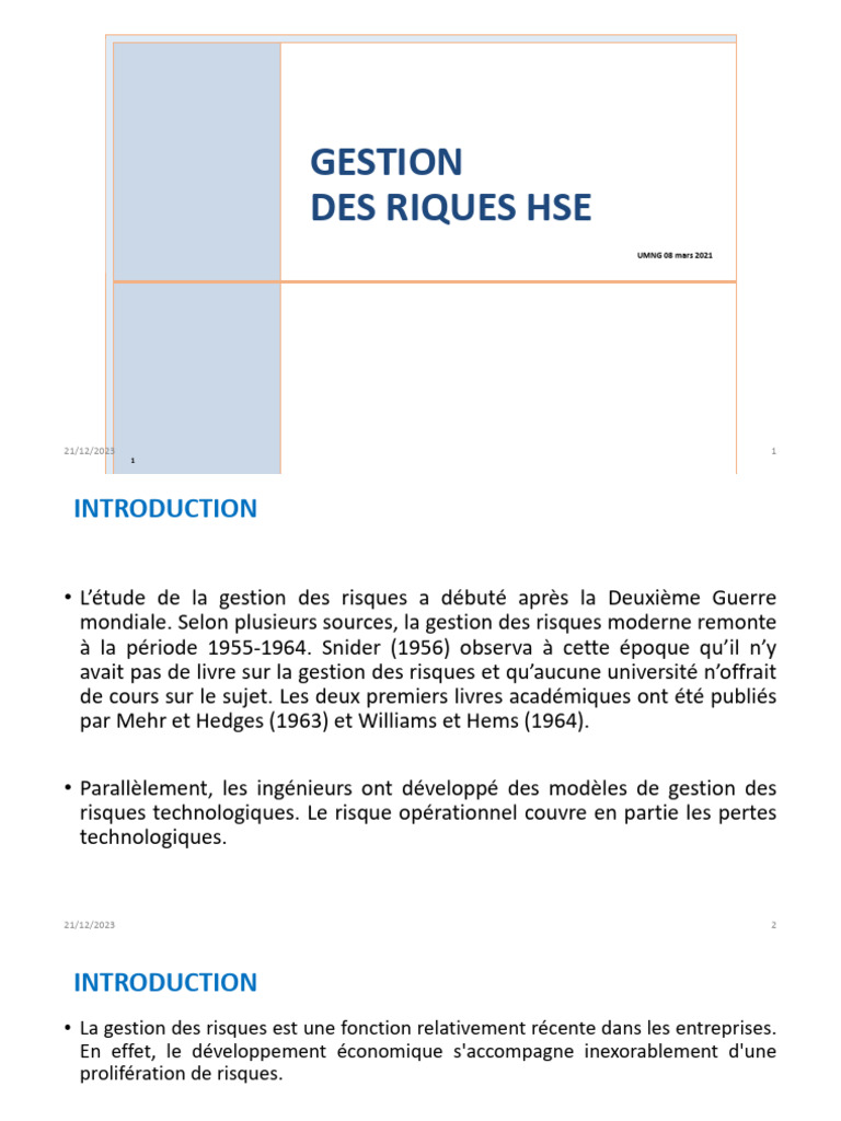 Cours PP Gestion Des Risques | PDF | Risque | Gestion des risques