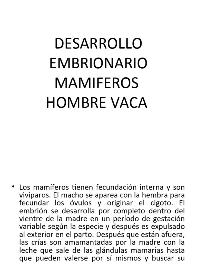 Desarrollo Embrionario en Animales Mamiferos | PDF | Embrión | Interacciones biológicas