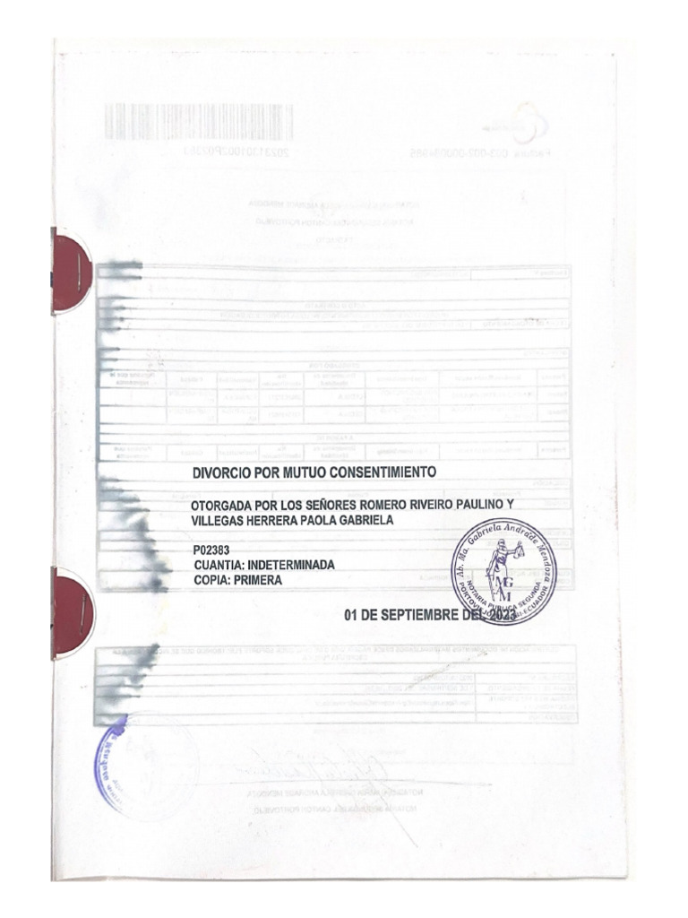 Divorcio Por Mutuo Consentimiento | PDF