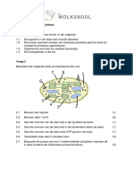 Fotosintese en Respirasie | PDF