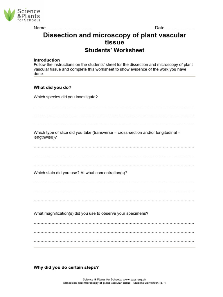 SAPS - Vascular Tissue Microscopy - Student Worksheet | PDF | Tissue ...