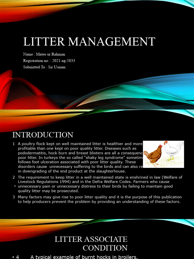 Litter Management | PDF | Broiler | Poultry Farming