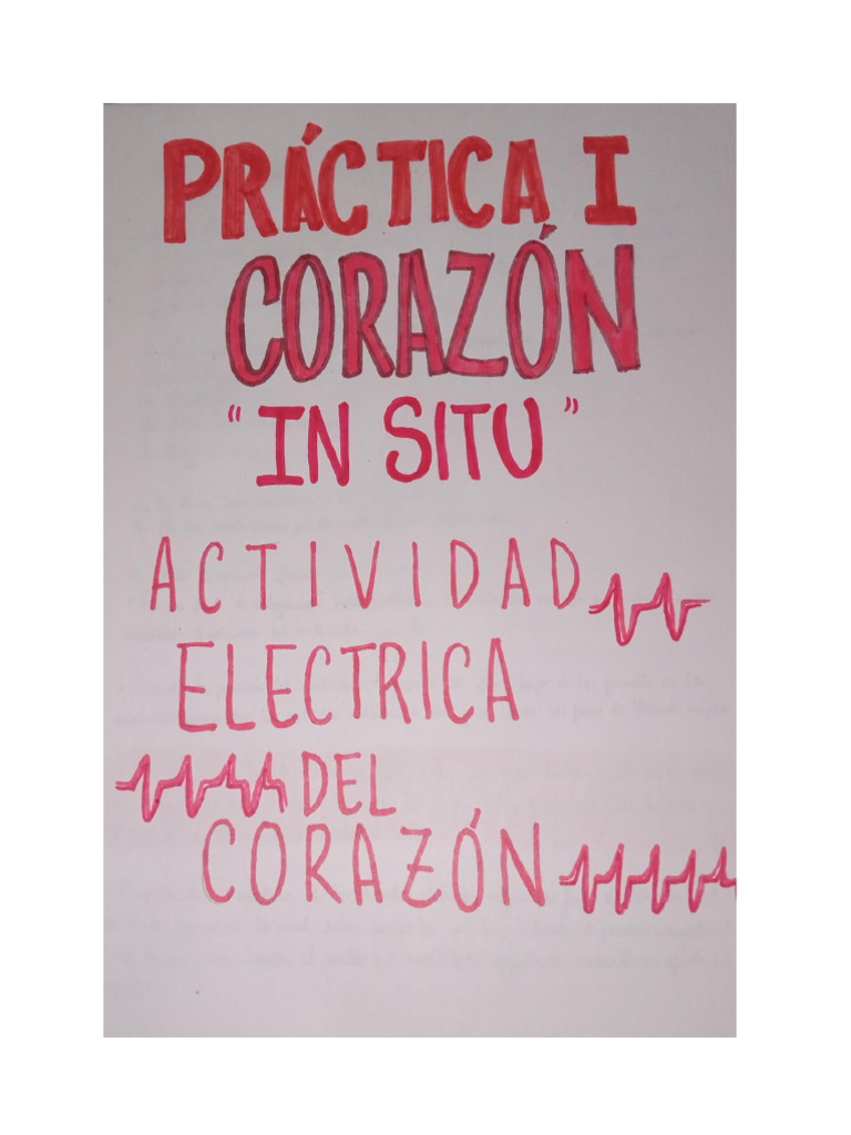Practica Corazon in Situs | PDF