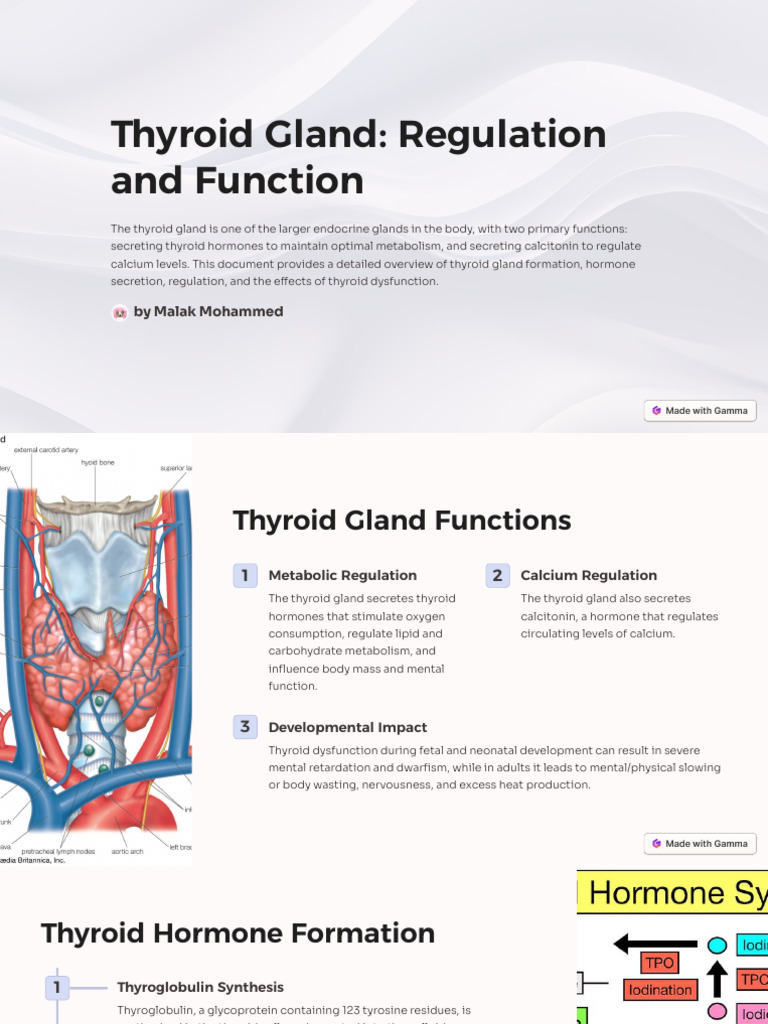 Thyroid-Gland-Regulation-and-Function | Download Free PDF | Thyroid | Thyroid Stimulating Hormone