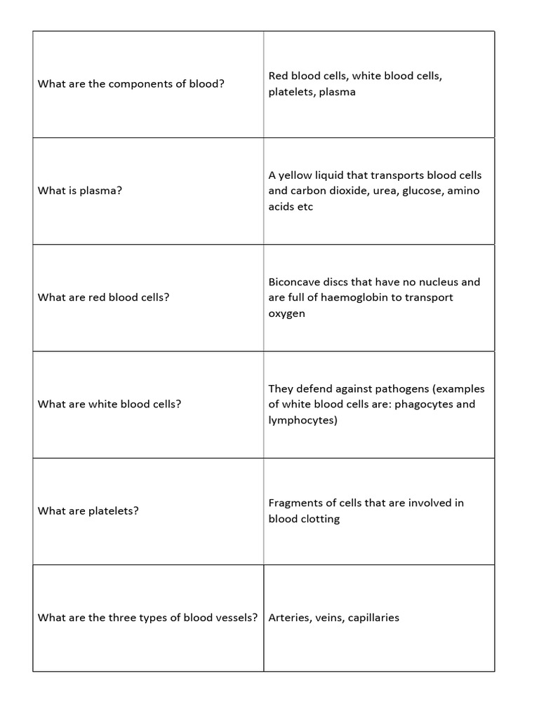 Organising Animals | PDF | Heart | Blood