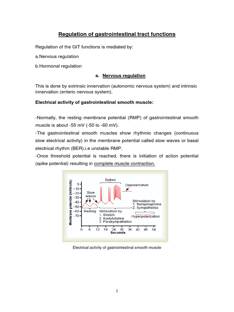 Regulation of GIT Function | PDF | Gastrointestinal Tract | Stomach