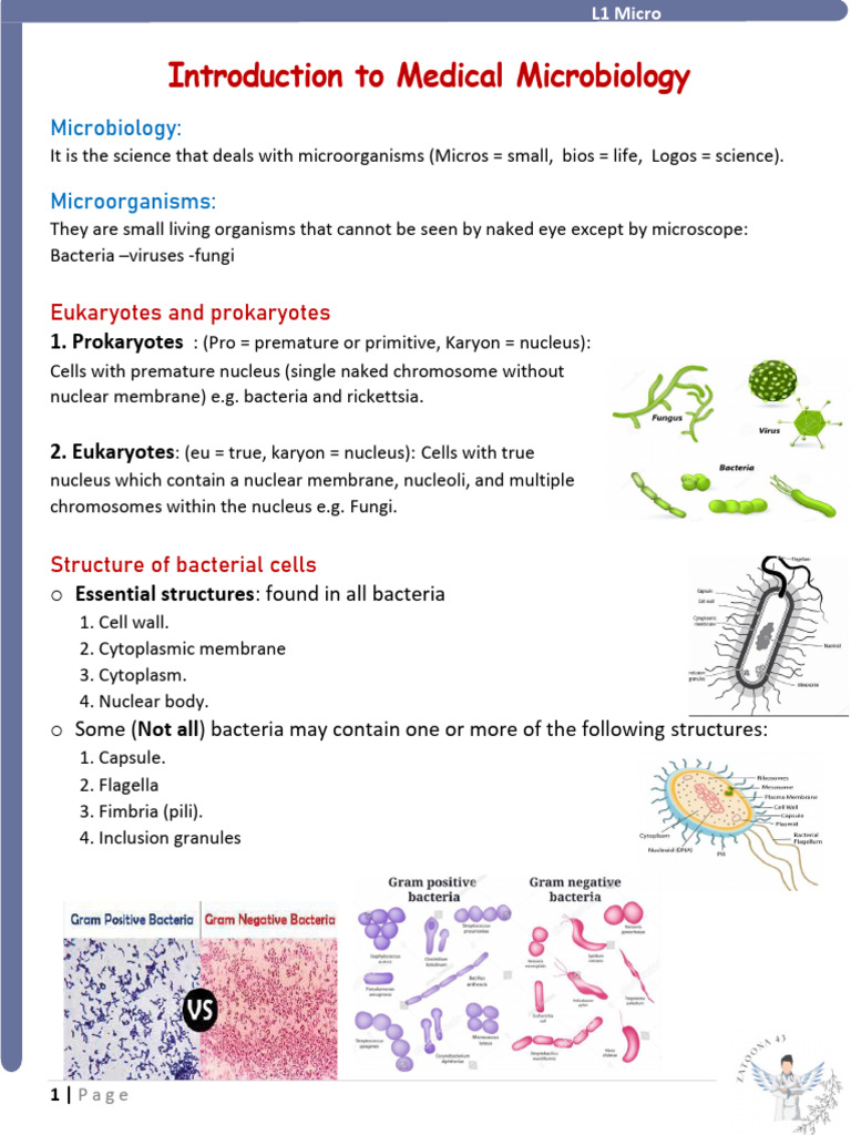 L1 Micro | PDF | Bacteria | Cell (Biology)