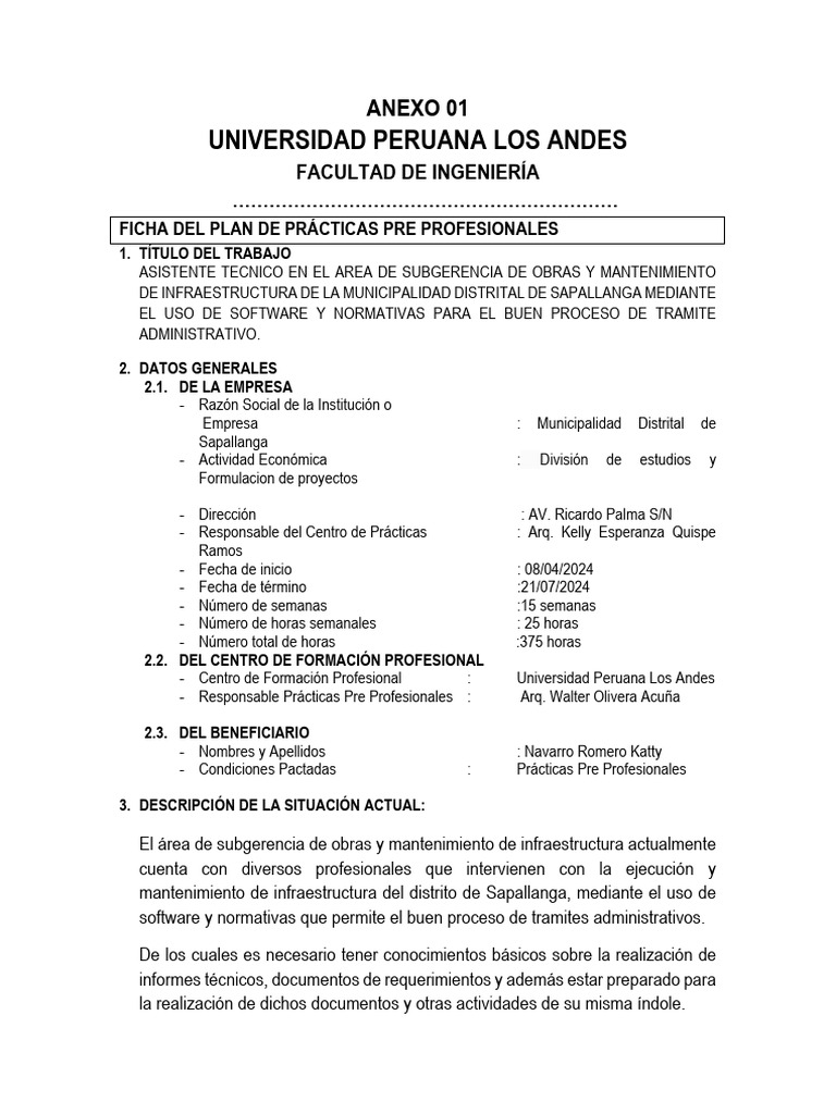 Anexo 01 Corregido | PDF