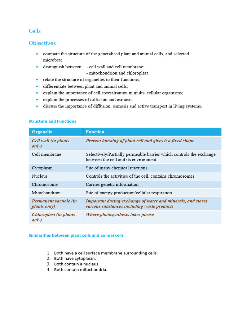 Cells | PDF | Tissue (Biology) | Osmosis