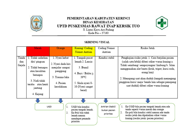 SKRINING VISUAL | PDF