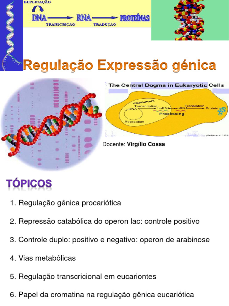 Aula 6 Regulacao da expressao genica | PDF | Regulação da expressão ...