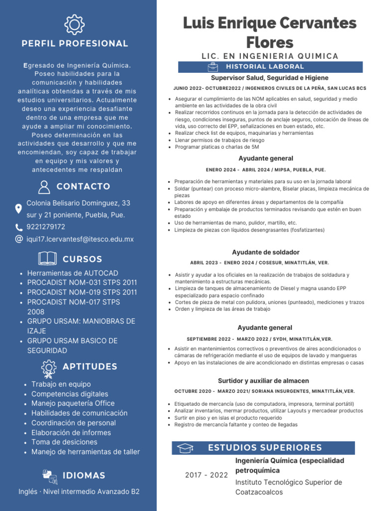 LECF CURRICULUM VITAE | PDF | Ingeniería