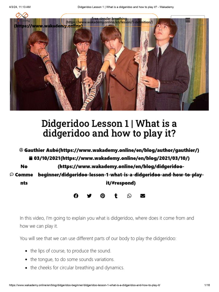 Didgeridoo Lesson 1 - What Is A Didgeridoo and How To Play It ...