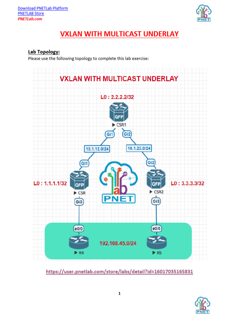 VXLAN With Multicast Underlay | Download Free PDF | Data Transmission | Internet