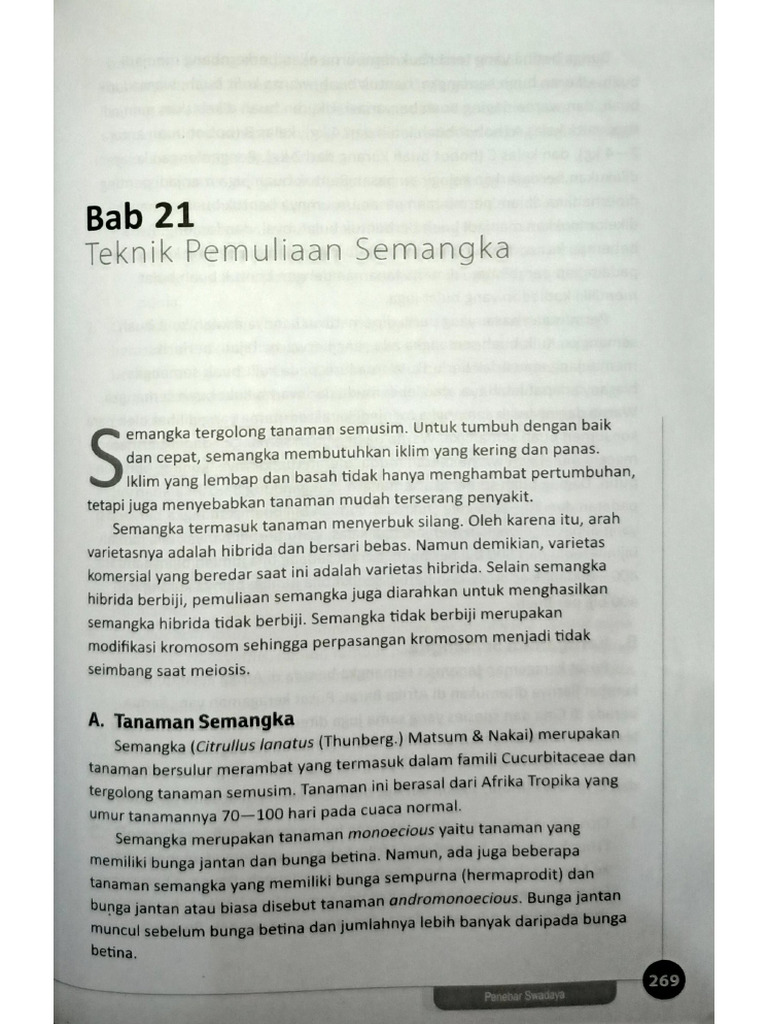 Teknik Pemuliaan Semangka | PDF
