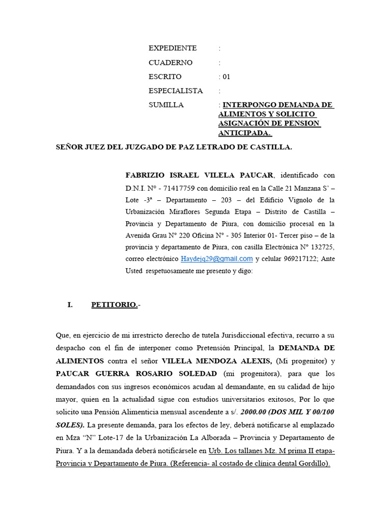 Demanda de Alimentos Corregida Hijo Mayor de Edad | PDF | Pensión alimenticia | Instituciones ...