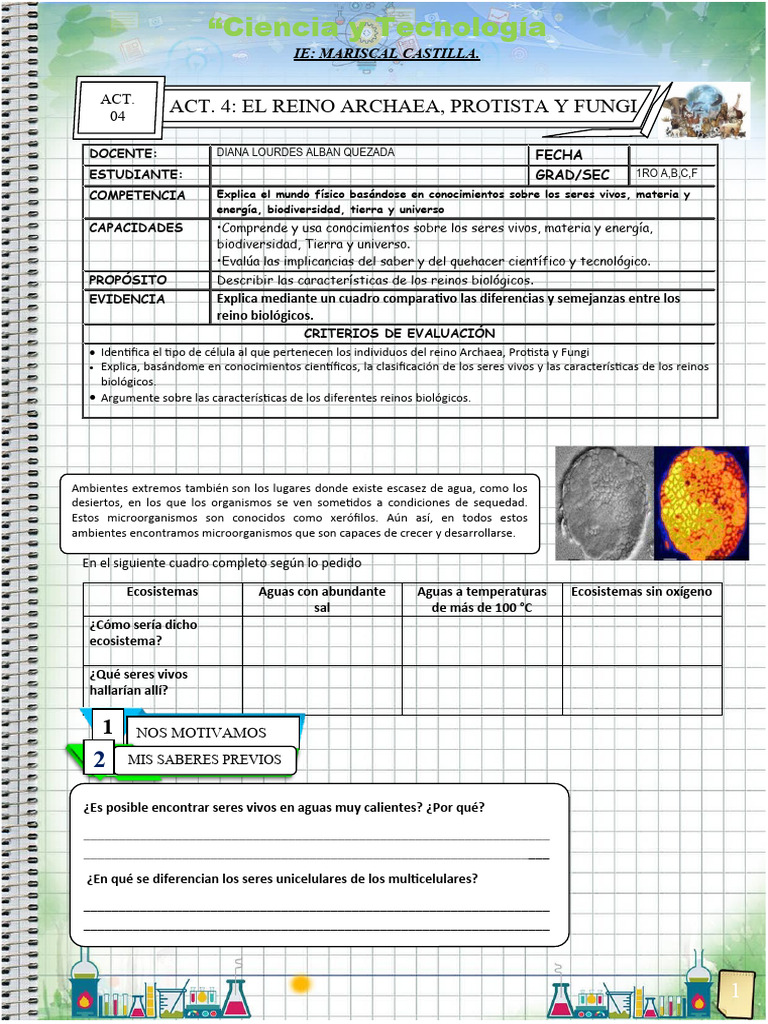 D1º Act 4 Cyt Unid 1 - Sem 4 | PDF