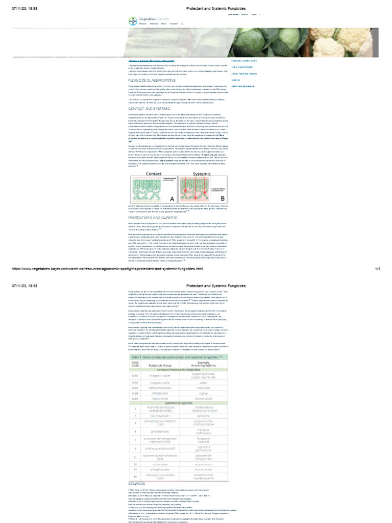 Protectant and Systemic Fungicides | PDF | Fungicide | Fungus