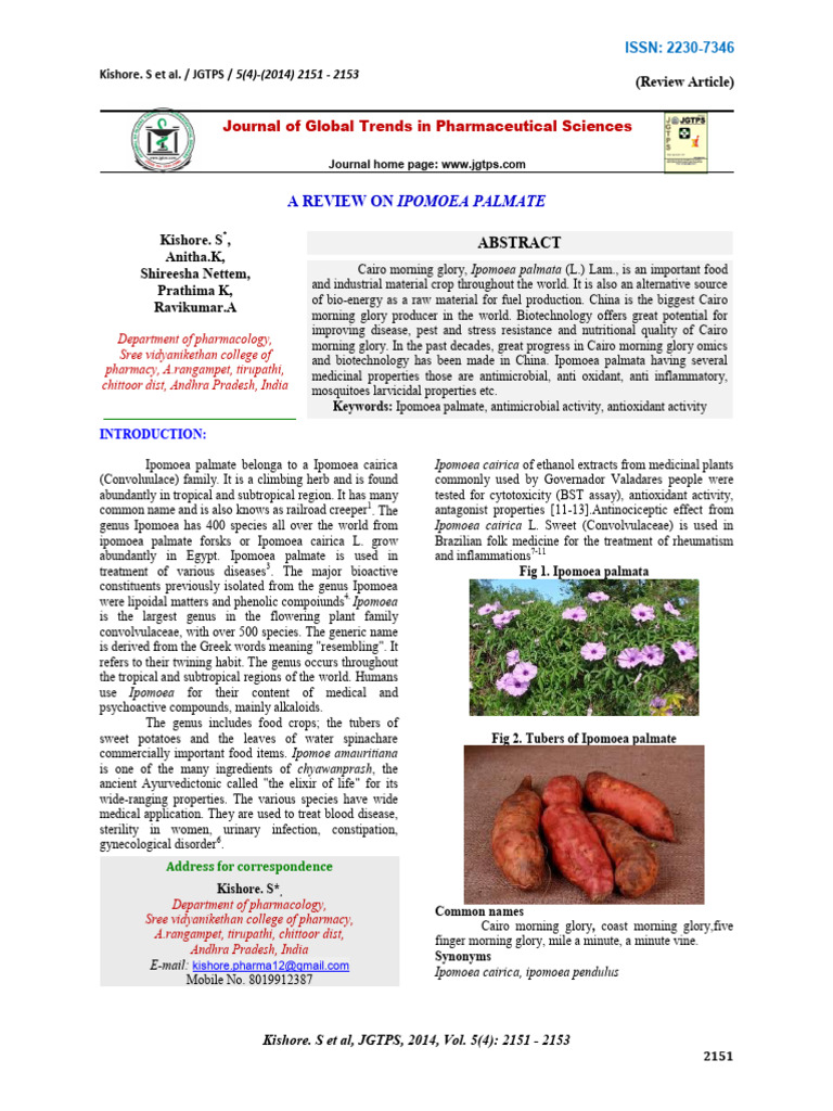 A Review On Ipomoea Palmate-Printed | PDF | Botany | Plants