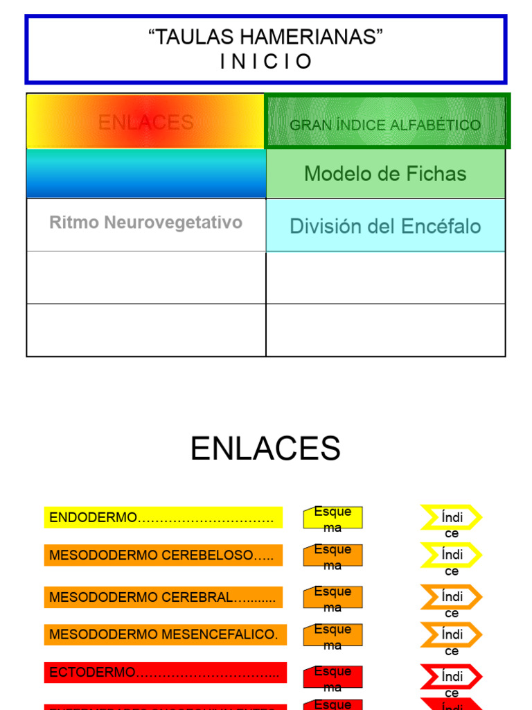 Hmer Table | PDF | Oído | Intestino delgado