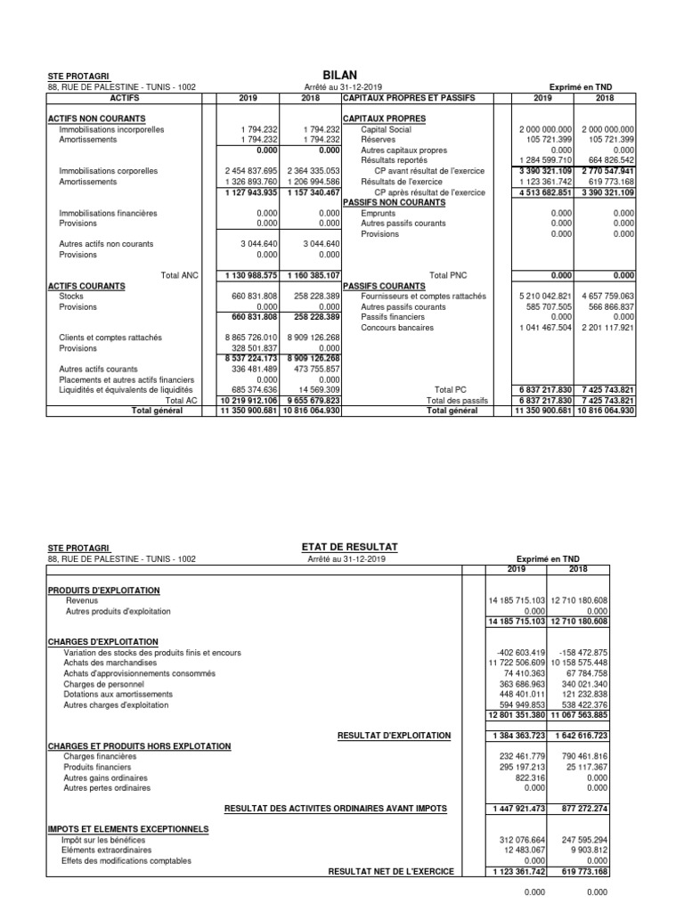 104 Protagri Ef 2019 N 4670 | PDF | Immobilisations | Prêts