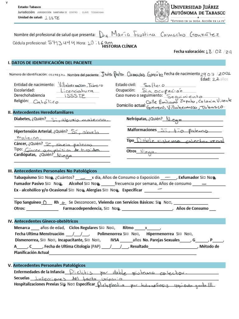 Formato Historia Clinica 240218 131317 | PDF | Enfermedades y trastornos | Medicina CLINICA