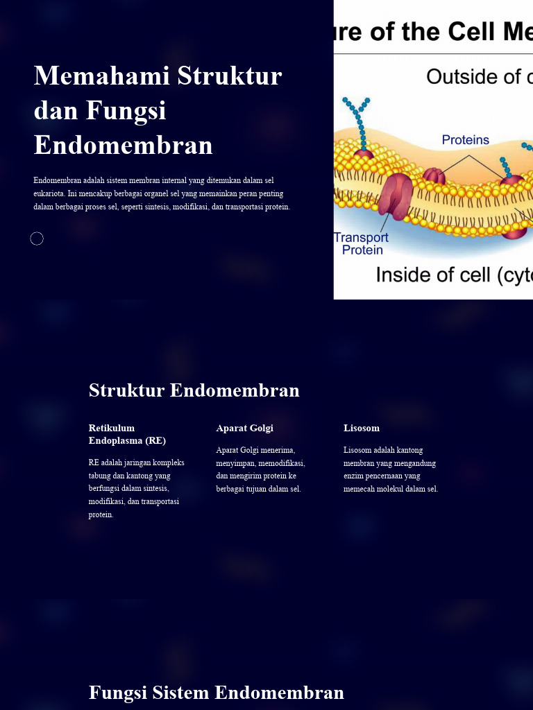 Struktur & Fungsi Endomembran | PDF | Griya & Taman | Kesehatan Holistik