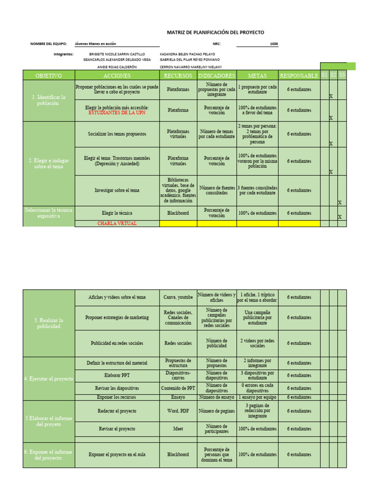 Matriz de Planificación Del Proyecto | PDF