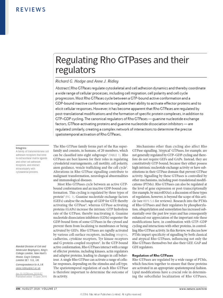 Regulating Rho GTPases and their regulators | PDF | Ubiquitin | Kinase