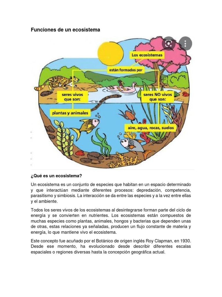 Tipos Funciones de Un Ecosistema | PDF | Ecosistema | Biología