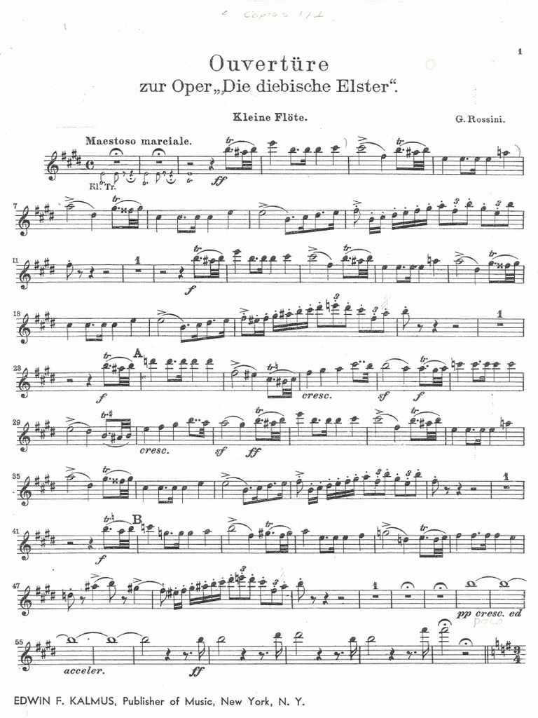 01-Rossini-Ob - Urraca Ladrona-Flautas | PDF